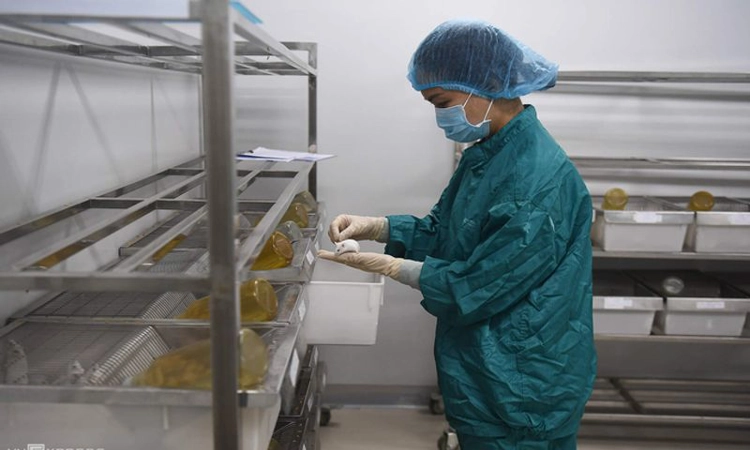 Made-in-Vietnam Covid-19 vaccine may be ready by end-2021