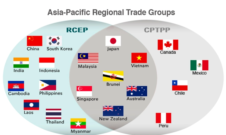 RCEP: Regional free trade pact with profound impacts on the world