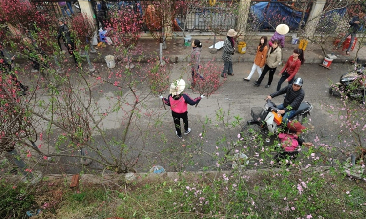 Animated Hanoi preparing for Tet