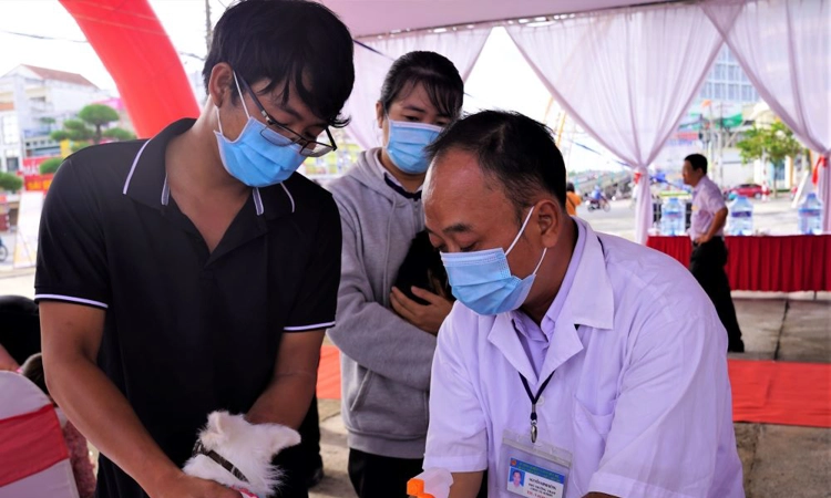 Vietnam reports 70-100 human deaths from rabies each year
