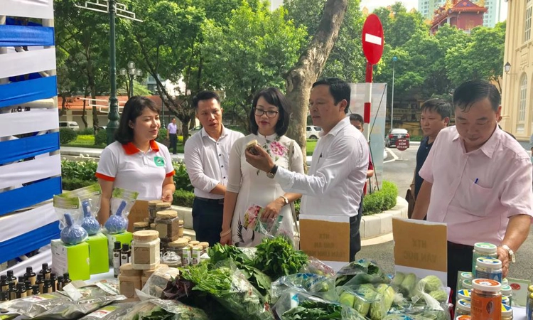 Hanoi promotes brand-building for agricultural products