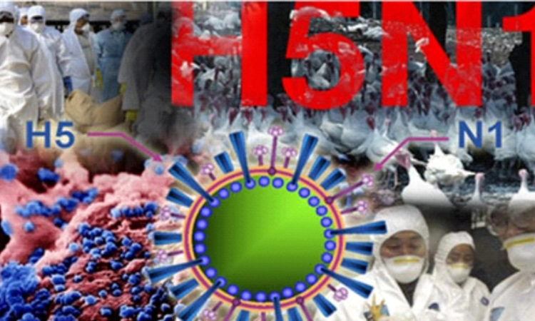 Vietnam closely monitors passengers from H5N1-stricken areas