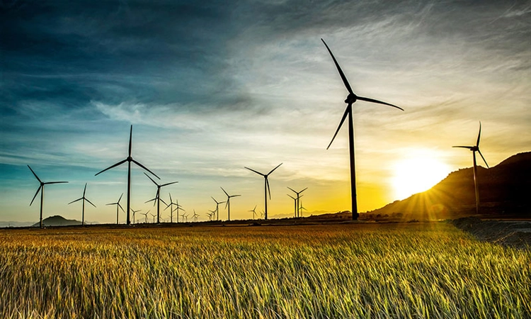 Vietnam advised to pilot large-scale wind power projects