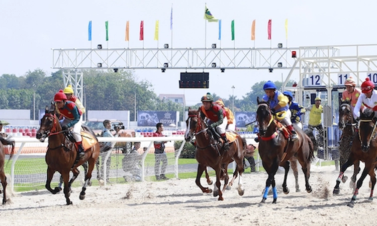 Northern province to build US$350-million horse racecourse