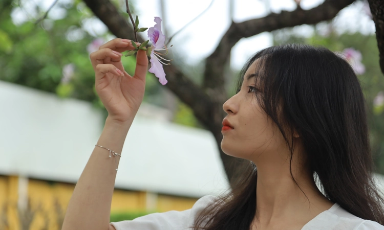 Brilliant Hanoi streets in Ban Flower season