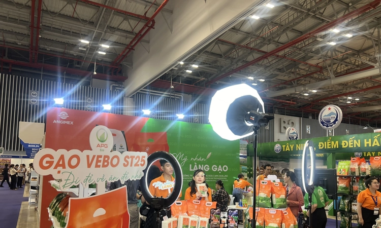 Vietnam Export Fair 2024: Opportunities to boost exports