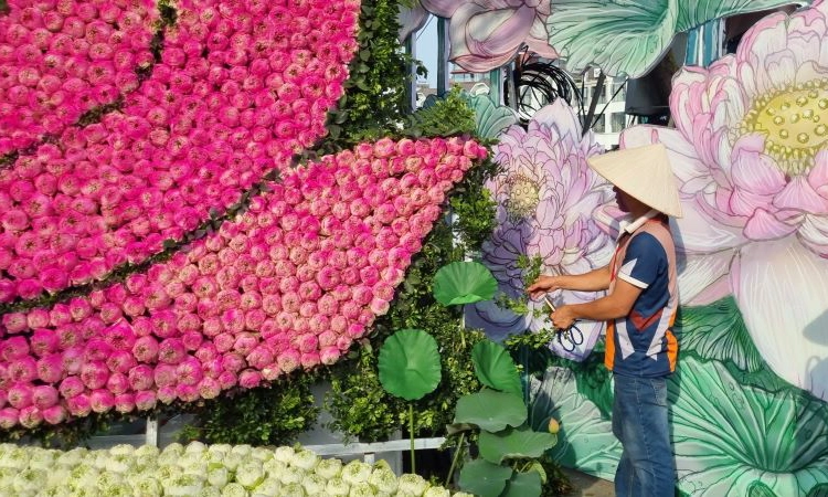 Unique lotus flower art on display in Hanoi