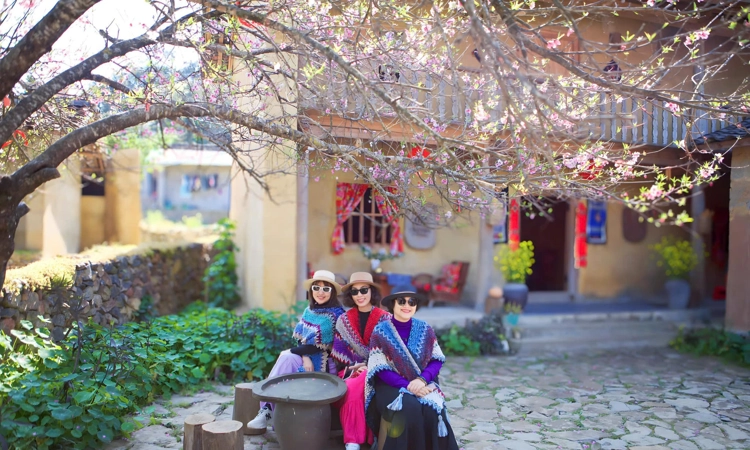 Vietnam’s tourist attraction among best places for apricot blossom