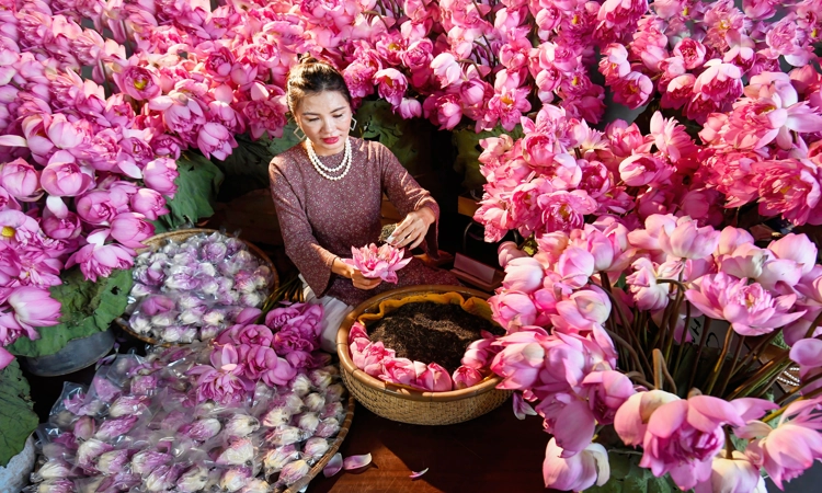 Promoting Hanoi’s rich heritage at VITM Hanoi 2025